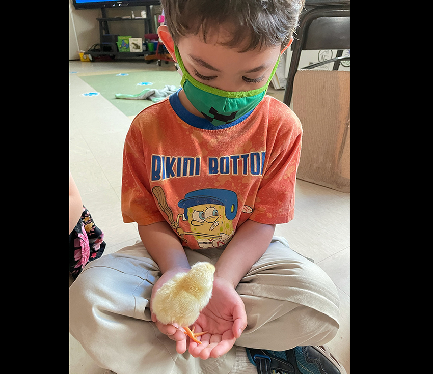 BKW Elementary School - Berne-Knox-Westerlo Central School District