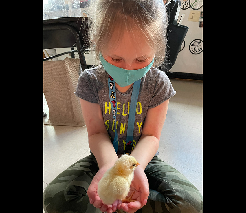 BKW Elementary School - Berne-Knox-Westerlo Central School District